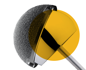 Hip Replacement Products | MicroPort Orthopedics